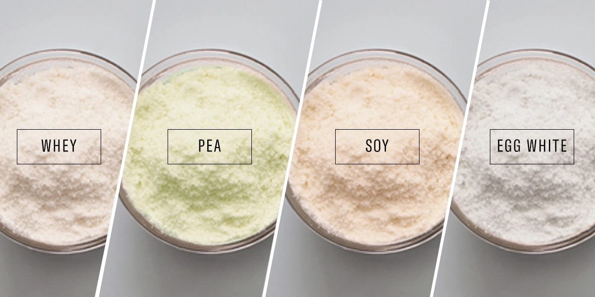 An Introduction to Different Types of Protein Powder – Xtra Protein ...